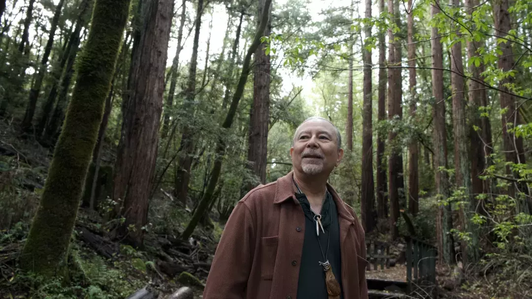 Six Things to Do At Filoli | San Francisco Travel