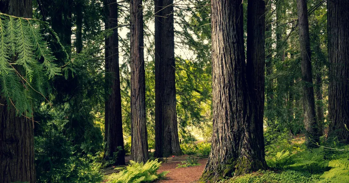 Spend a Weekend in Berkeley | San Francisco Travel