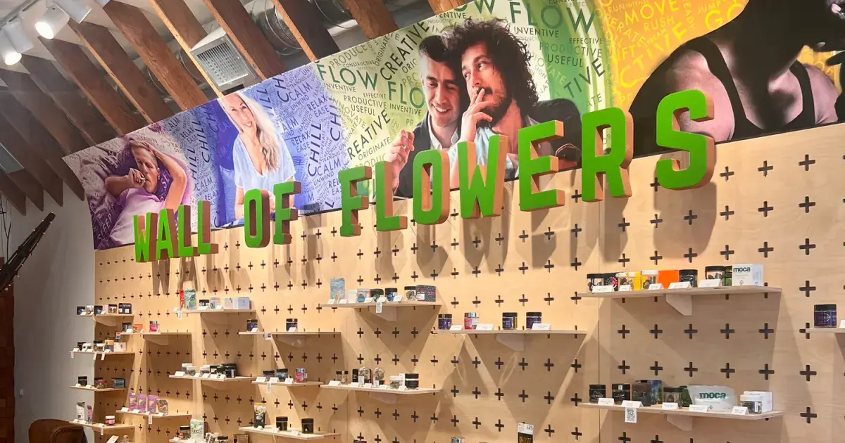 Cannabis Shopping 101: A SF Field Guide | San Francisco Travel